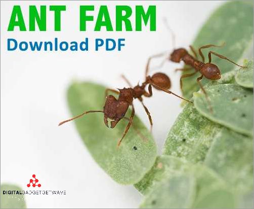 Explore the Fascinating World of Ant Farm Games - [Updated September 2025 ]