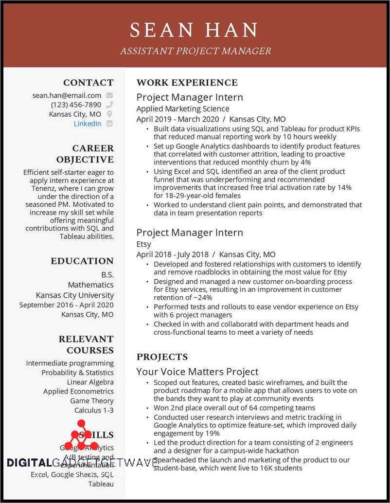 Director of Projects: Responsibilities, Skills, and Qualifications ...
