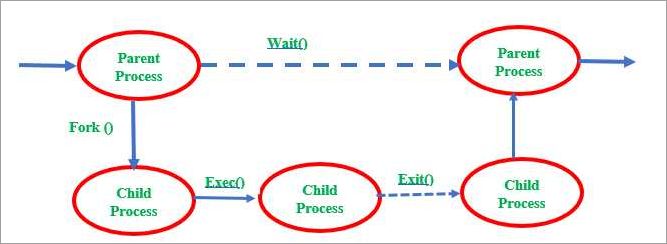 Understanding Zombie Process in Linux: Causes, Effects, and Solutions ...