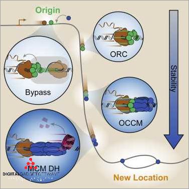 What Does MCM Mean: Exploring the Origins and Significance - [Updated ...